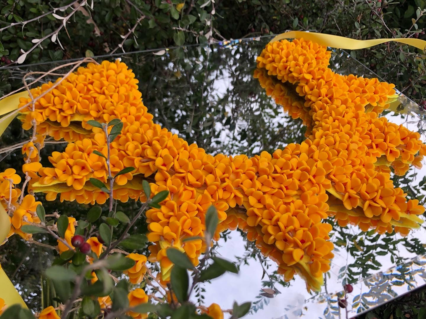 Kahoa Heilalaʻs – Heilala Creations